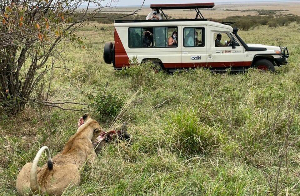 Unlocking Adventure: The Top 5 Best Contiki Tours For Every Traveler ...