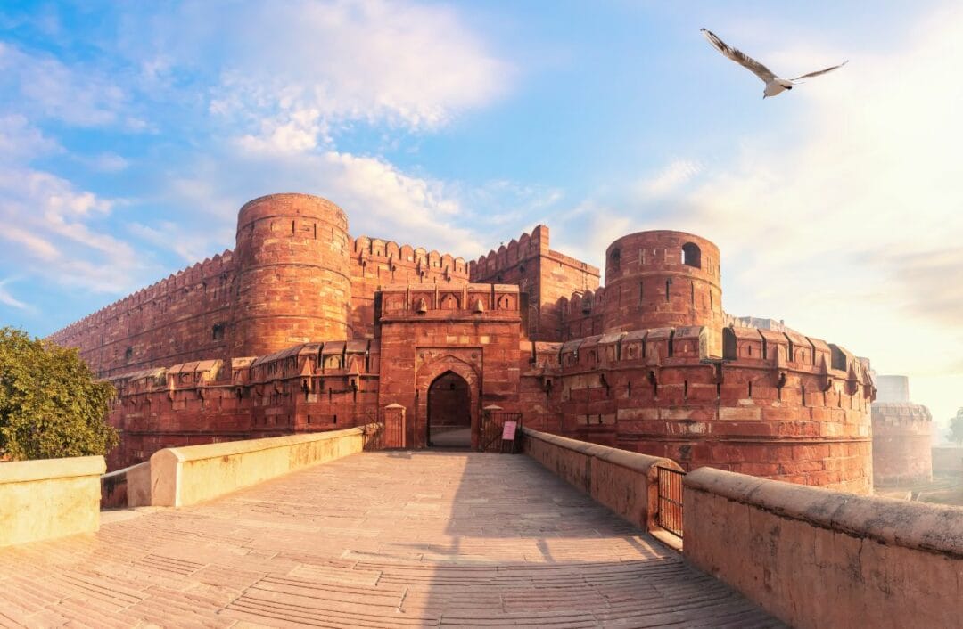 Unlocking Adventure: The Top 5 Best Contiki Tours For Every Traveler ...