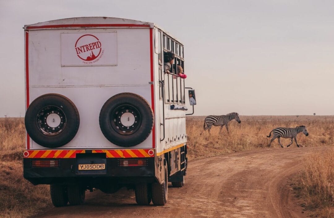 Unlocking Adventure: The Top 5 Best Intrepid Travel Tours For Every ...