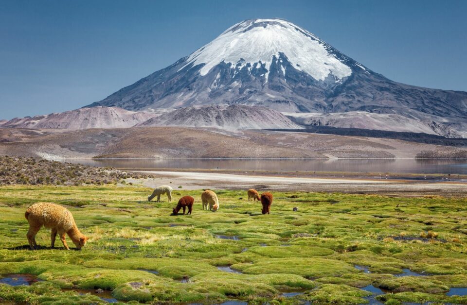 10 Extraordinary Movies Set In Chile That Will Inspire You To Visit!