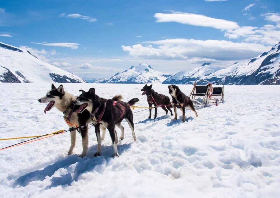 12 Extraordinary Movies Set In Alaska That Will Inspire You To Visit ...