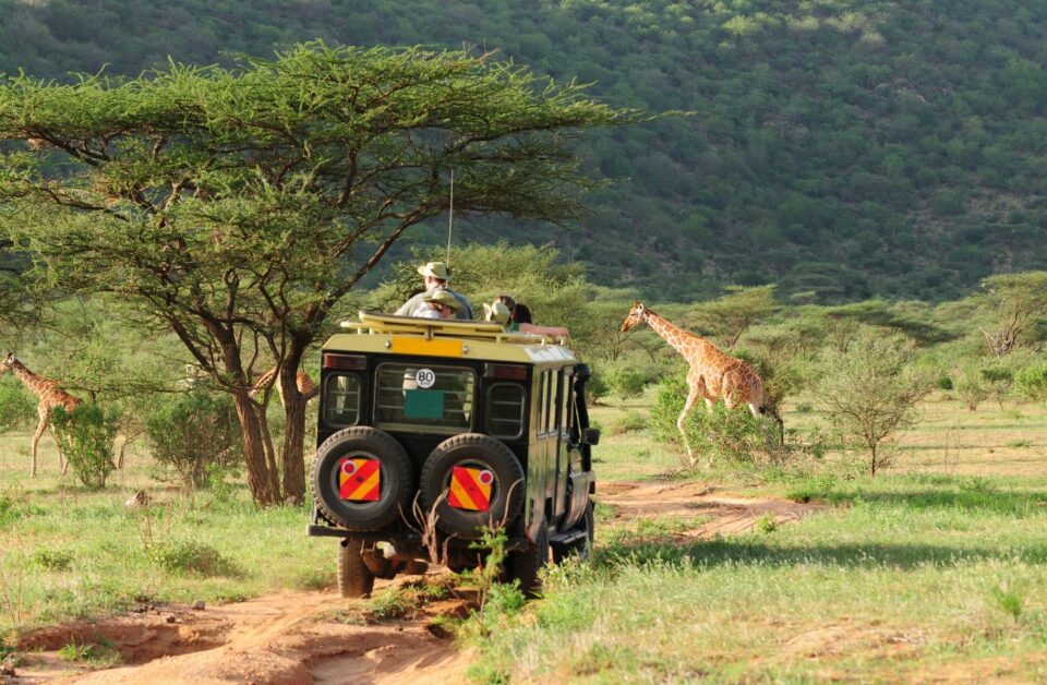 The 6 Best Kenya Tours For Unforgettable Adventures That Are Achievable ...