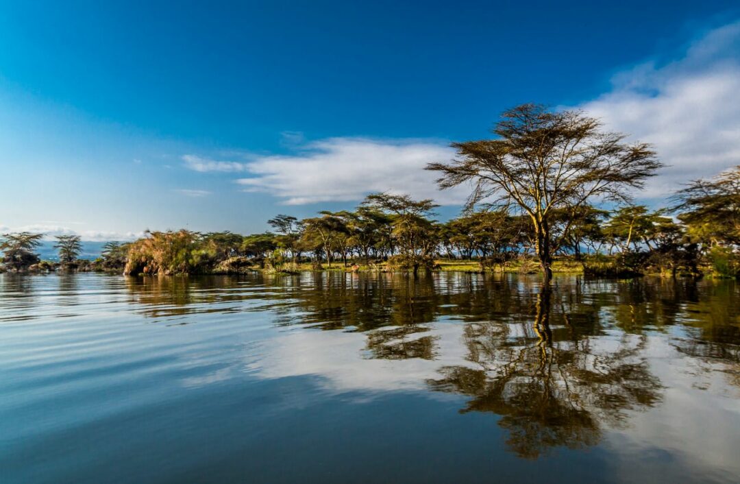 The 6 Best Kenya Tours For Unforgettable Adventures That Are Achievable ...