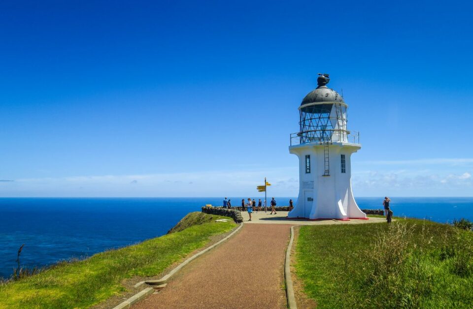 The 7 Best New Zealand Tours For Unforgettable Adventures That Are ...