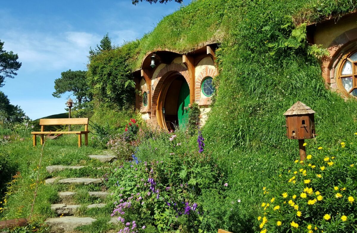The 7 Best New Zealand Tours For Unforgettable Adventures That Are ...
