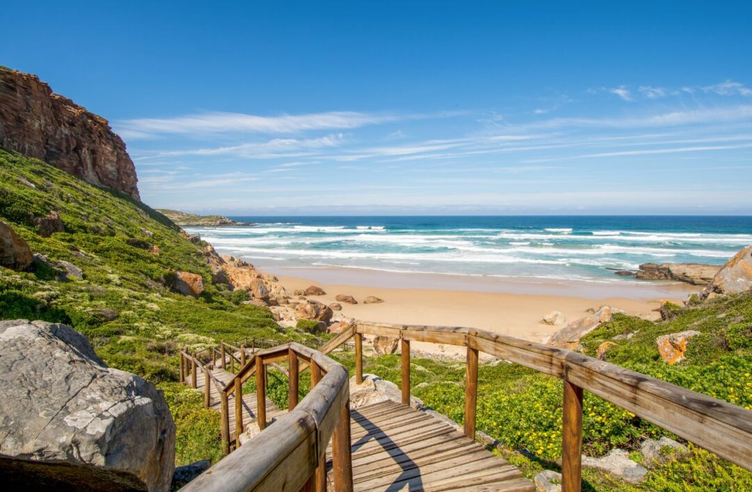 The 6 Best South Africa Tours For Unforgettable Adventures That Are ...