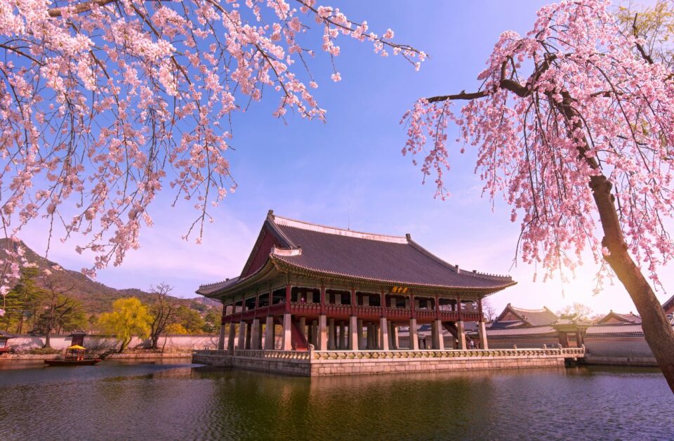 The 6 Best South Korea Tours For Unforgettable Adventures That Are ...