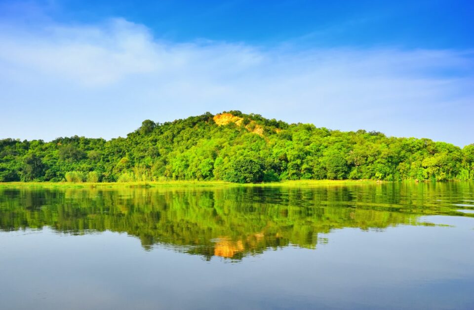 The 6 Best Uganda Tours For Unforgettable Adventures That Are ...