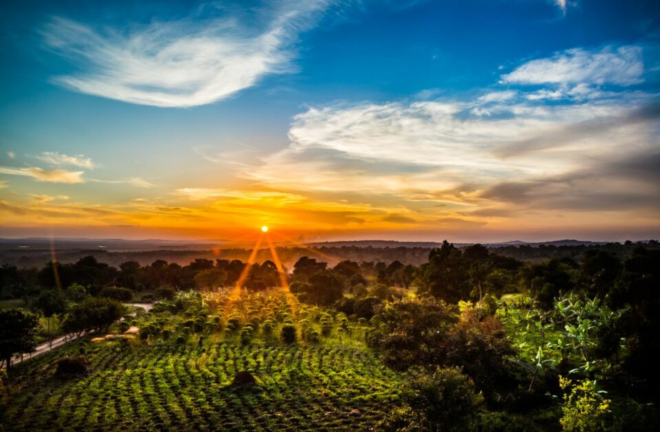 The 6 Best Uganda Tours For Unforgettable Adventures That Are ...