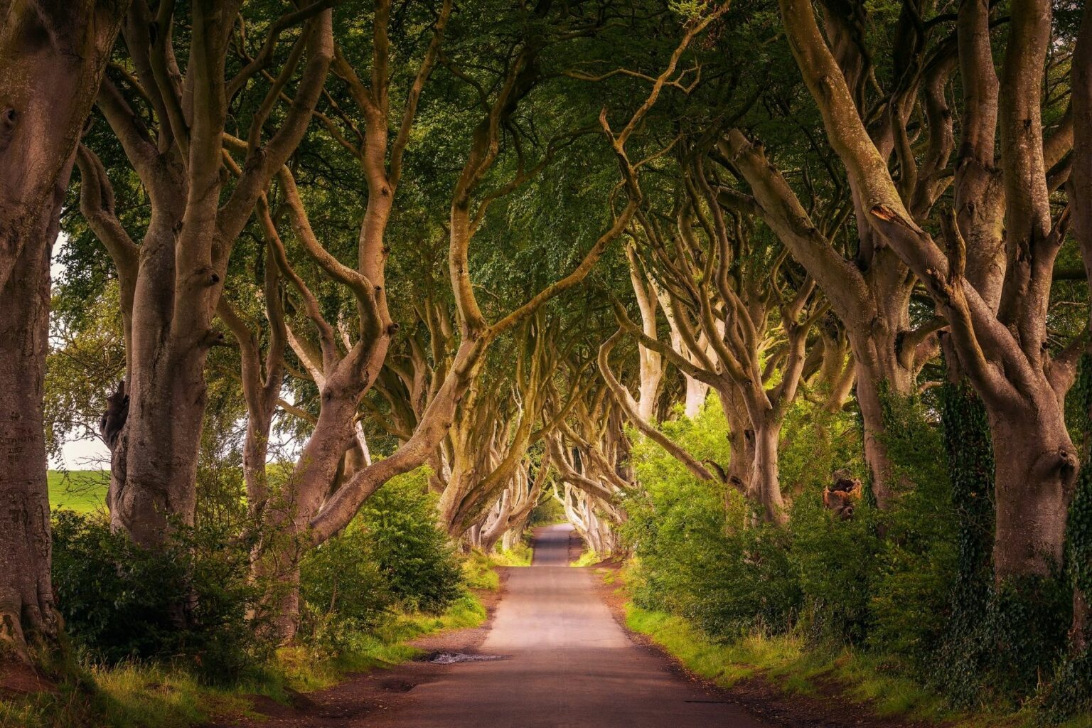 10 Extraordinary Movies Set In Ireland That Will Inspire You To Visit ...